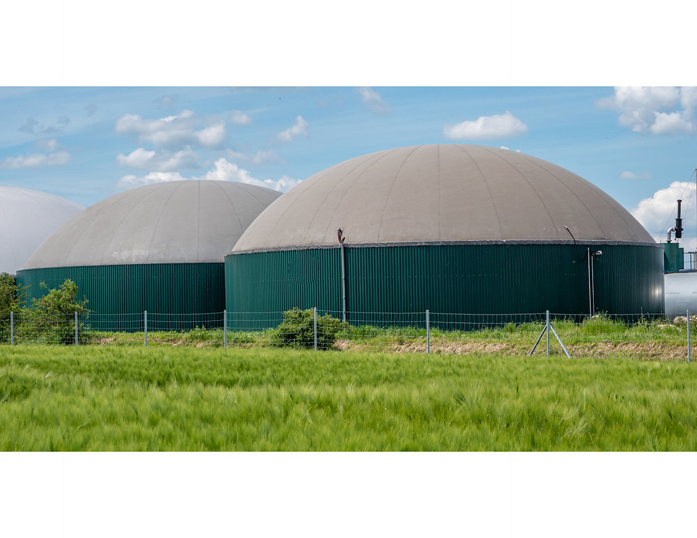 POTENTIAL FOR OFF-GRID BIOGAS ENERGY