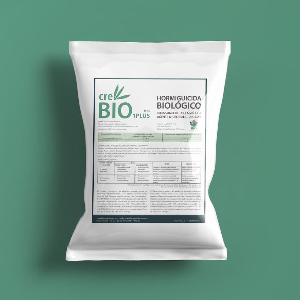 creBIO 1 PLUS | creBIO