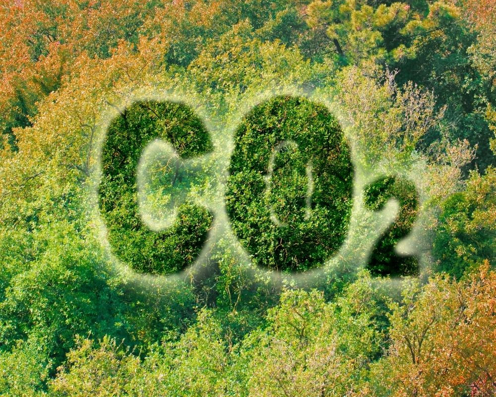 CO2e, COeq : tout savoir sur l'équivalent CO2