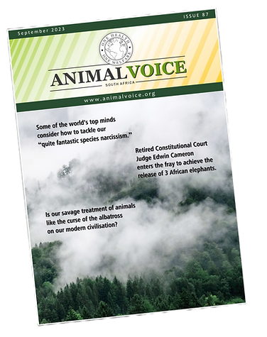 Animal Voice