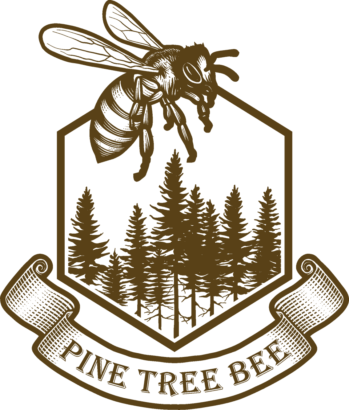 Pine Tree Bee | Honey | Maine, USA