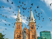 Advanced International Freight | Freight Forwarding | Global Logistics