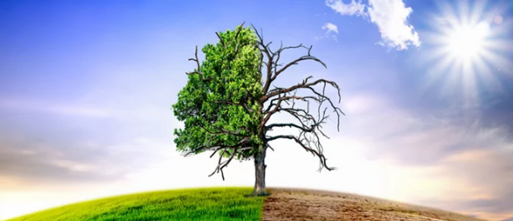 Dual Challenges of Climate Change and Geopolitical Tensions in Supply ...