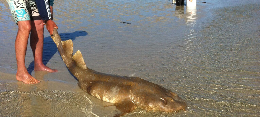 Fishing Albany WA Images