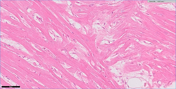 Images & more | Dobropath