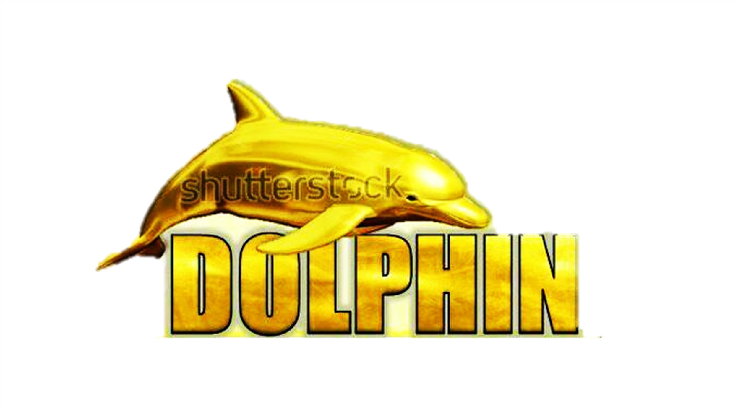 Hlubi Dolphin Production established by Mr. Ayanda Hlubi Nkosi