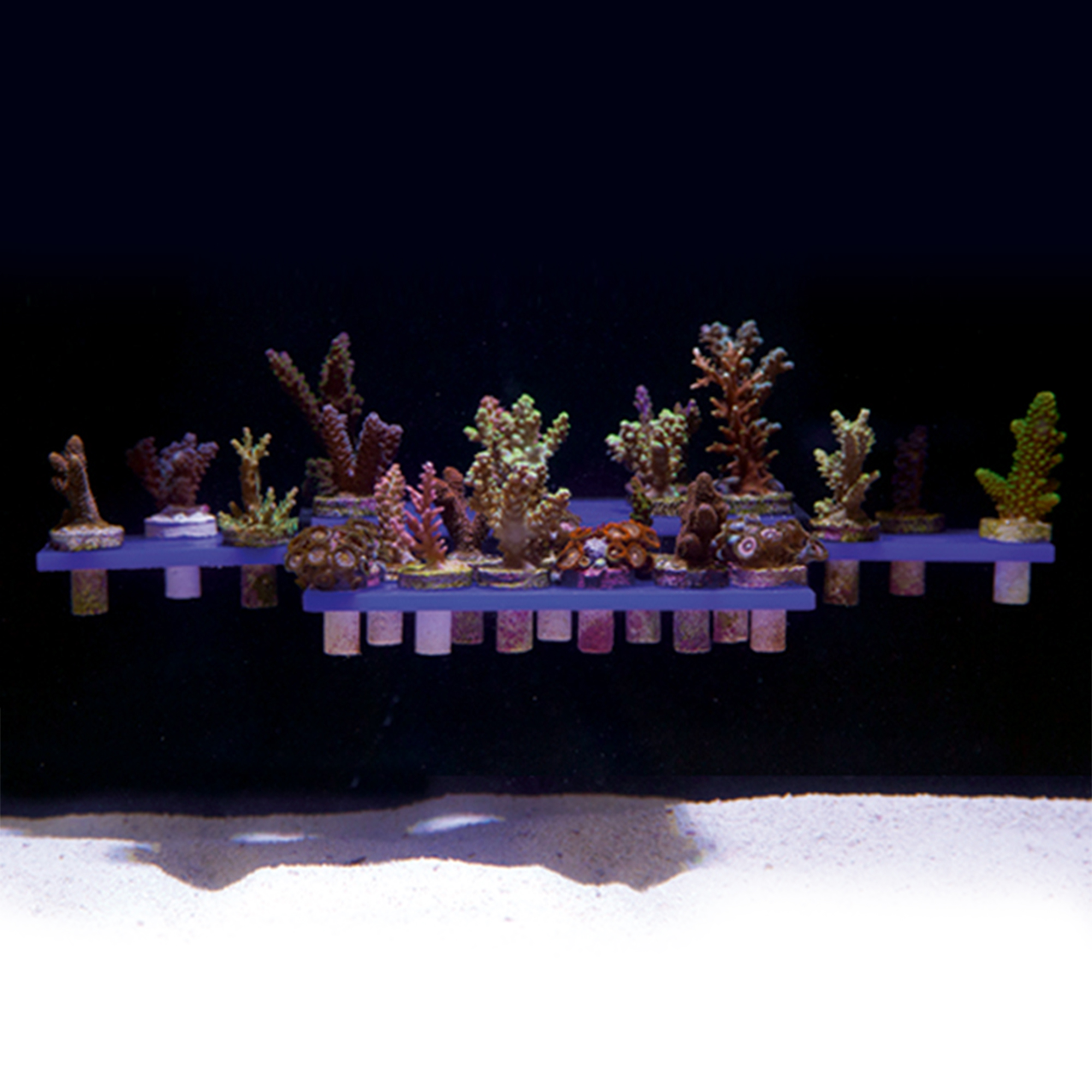 Aquarium Products | Innovative Marine | United States