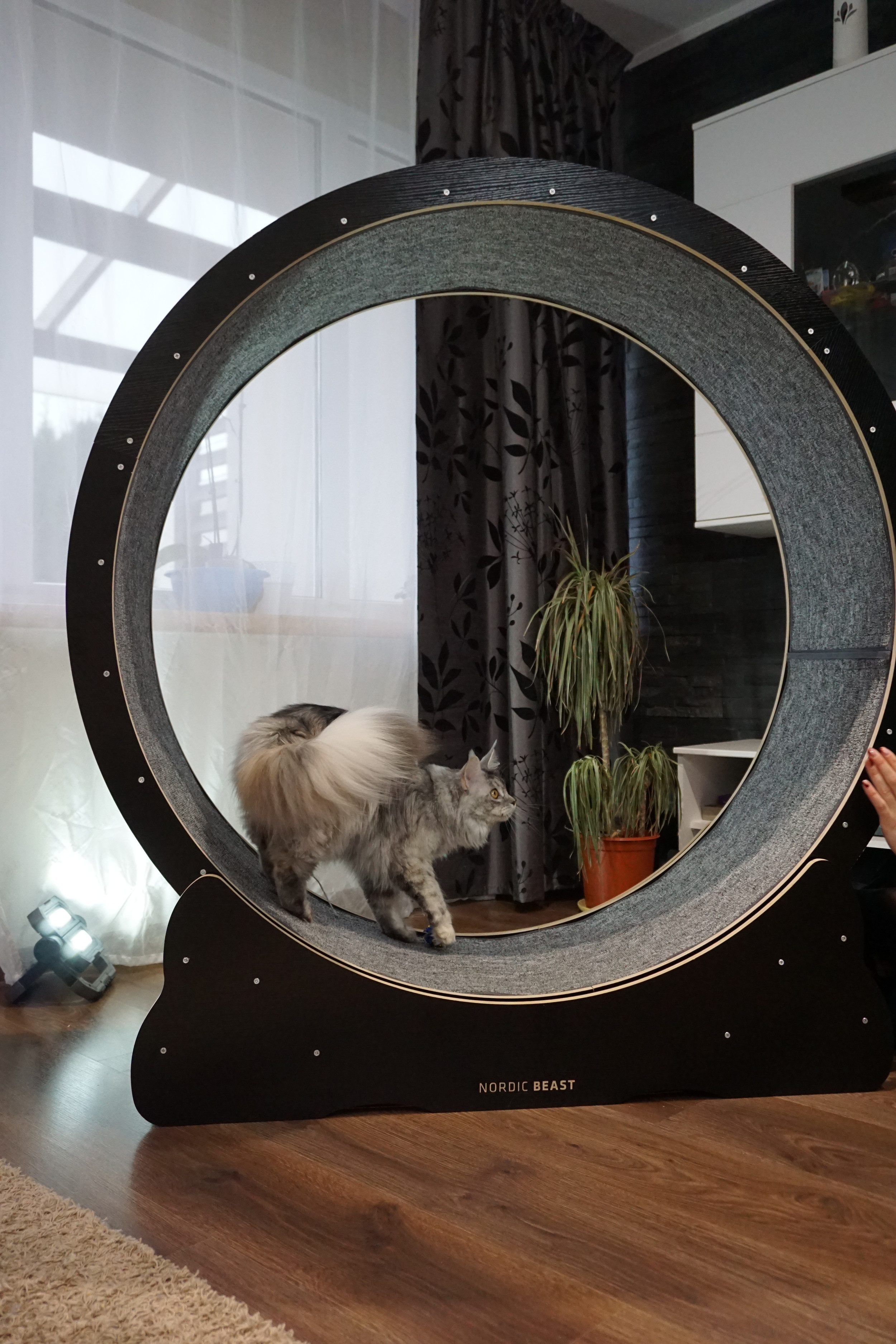 Premium Scandinavian Pet Brand | Nordic Beast