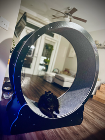 Nordic Beast Cat Wheel | Official Site