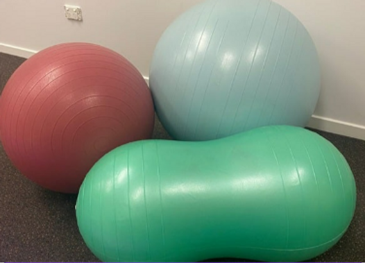 Resource Spotlight: Exercise Balls