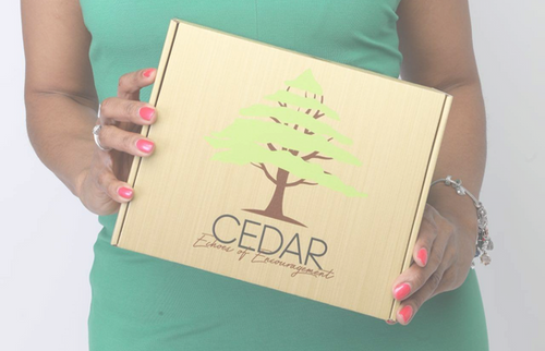 "Season's Change" Box | Cedar Connections