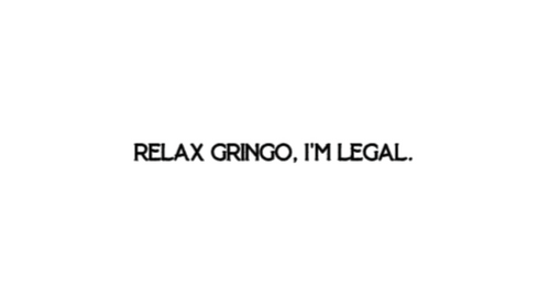 Relax Gringo Bumper Sticker | KatieMacCreative