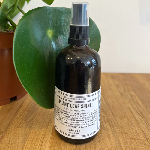 Natural leaf shine | The GreenHouse Ripon
