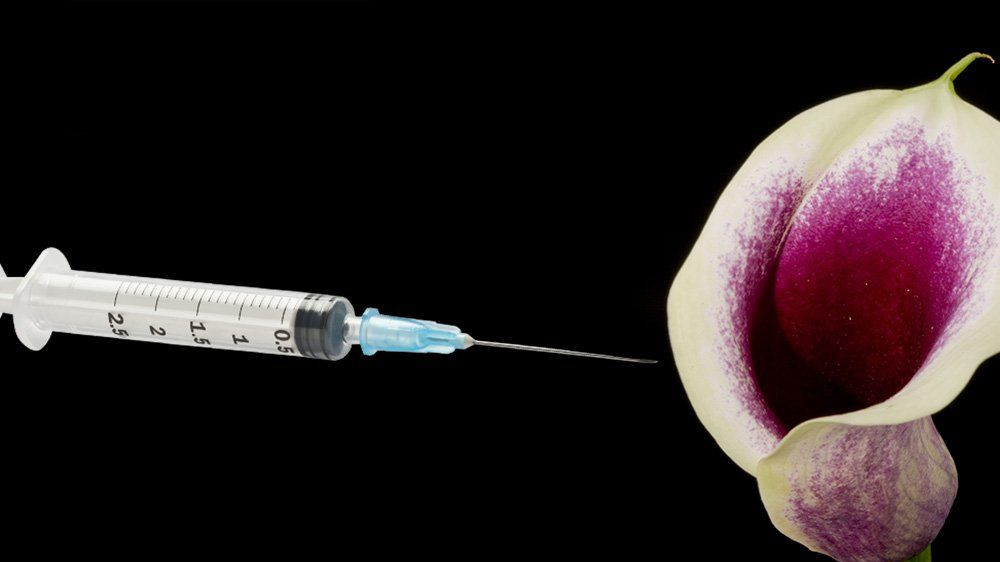 Prp Vaginal Injection Better Orgasms