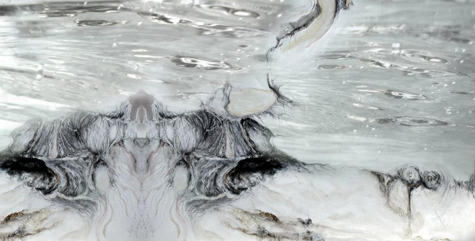 Alana Hampton Photography and Video Art