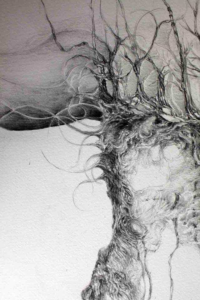 Alana Hampton Photography and Video Art