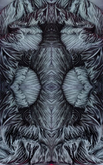 Alana Hampton Photography and Video Art