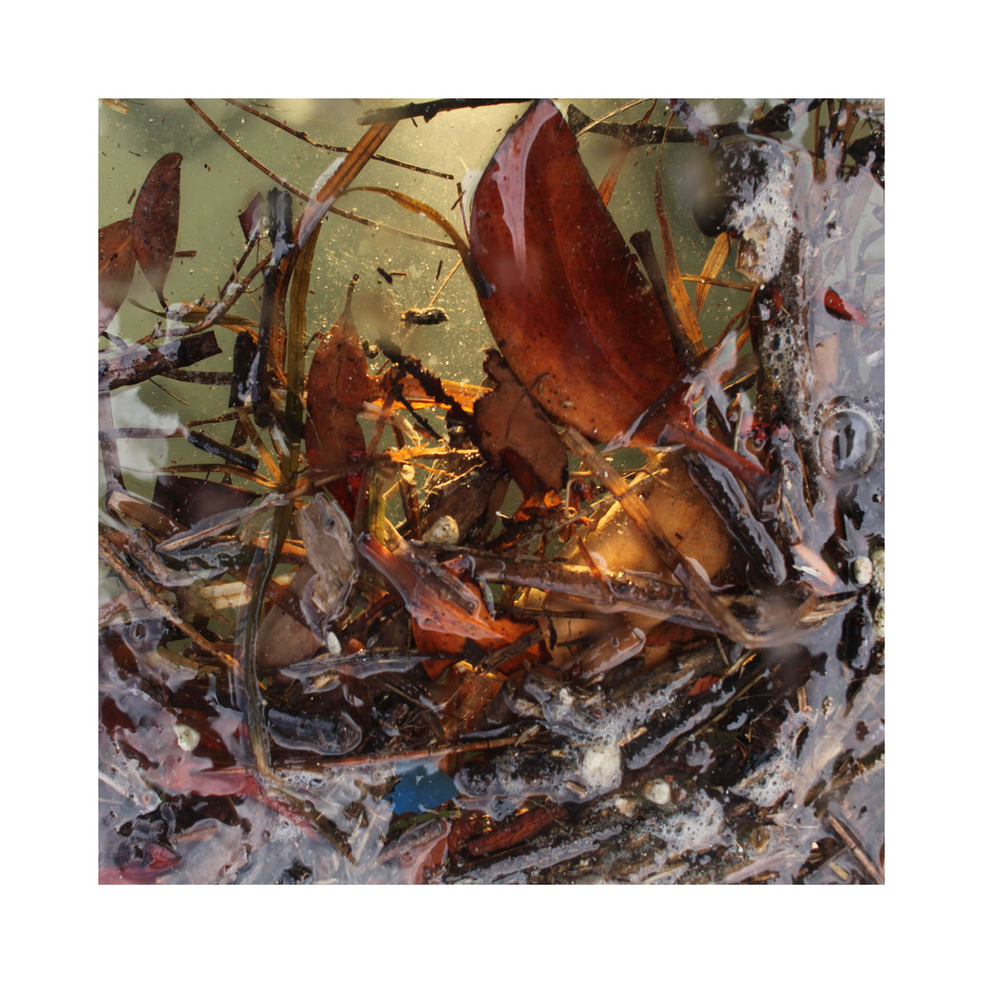 Alana Hampton Photography and Video Art