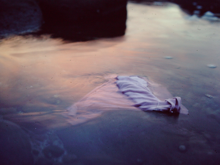 Alana Hampton Photography and Video Art