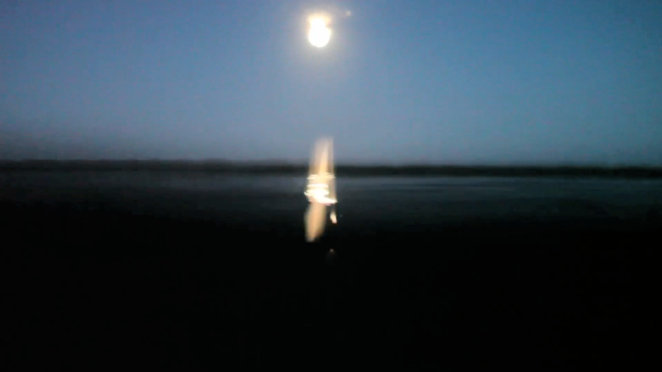 Alana Hampton Photography and Video Art