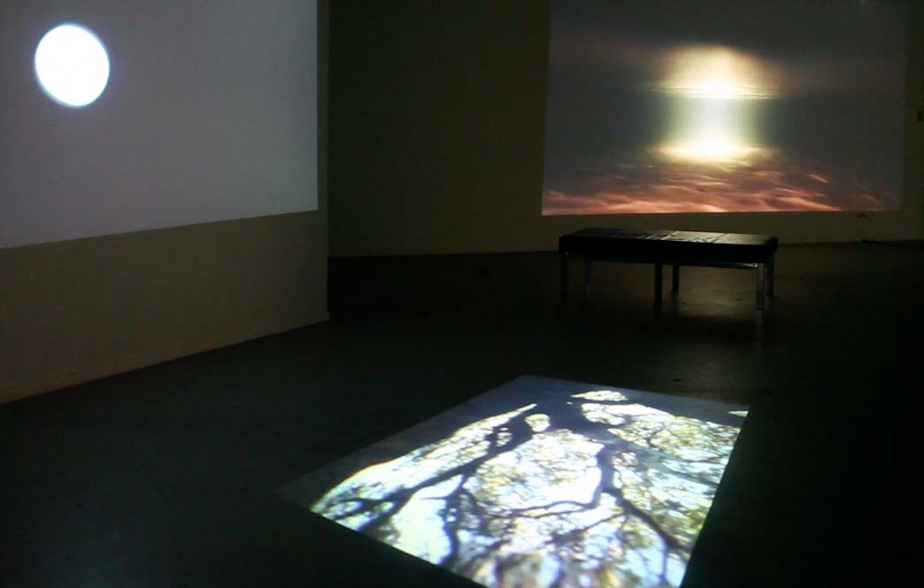 Alana Hampton Photography and Video Art