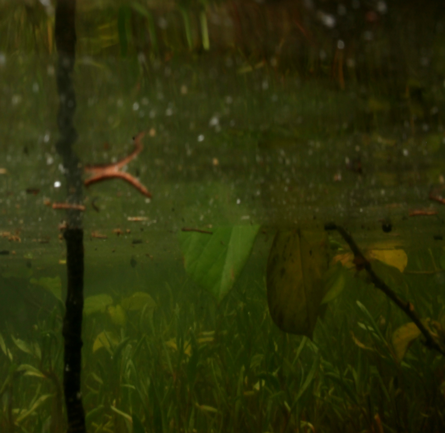 Alana Hampton Photography and Video Art