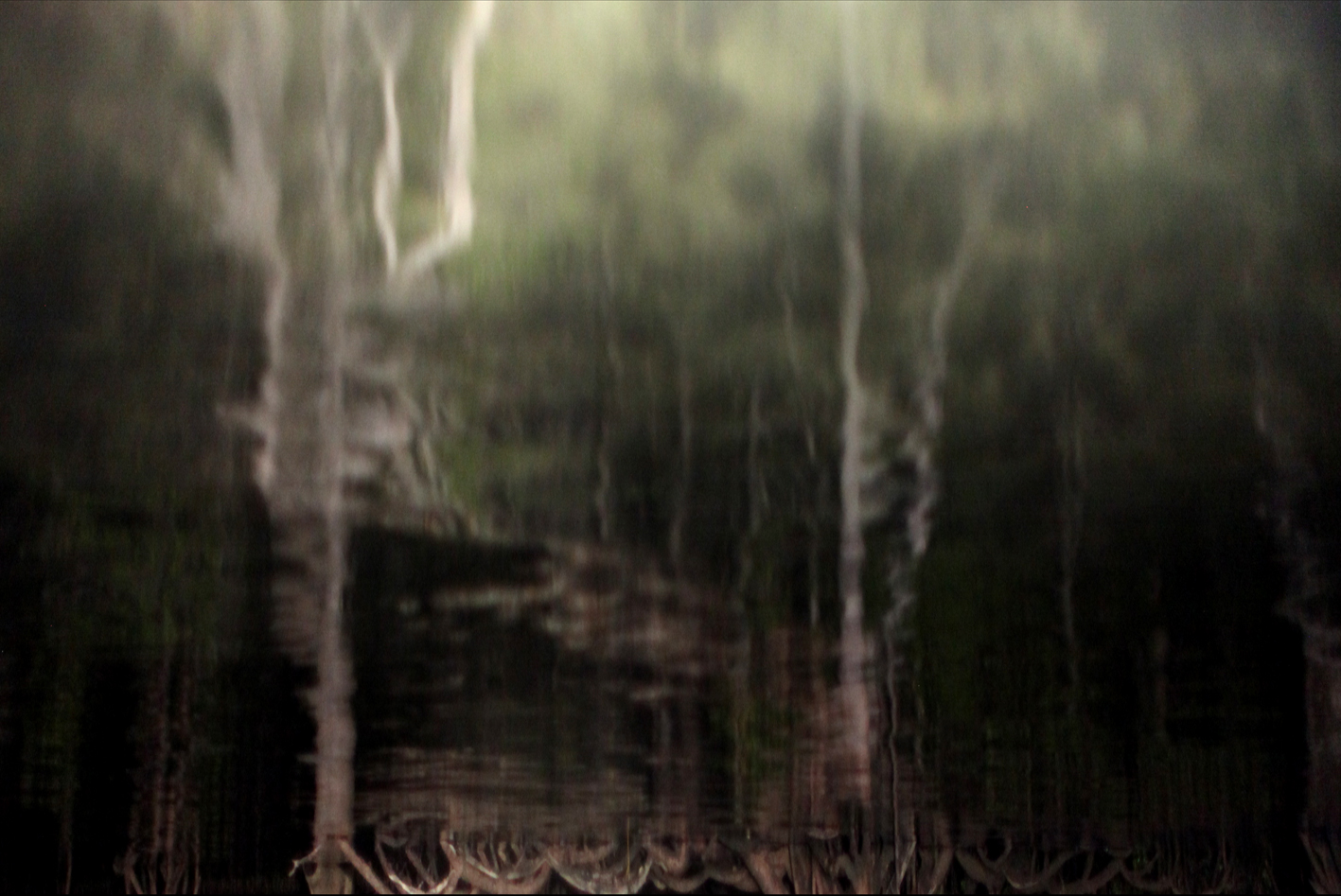 Alana Hampton Photography and Video Art