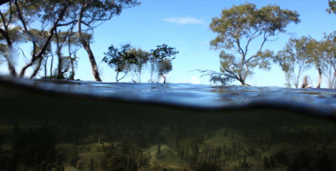 Alana Hampton Photography and Video Art