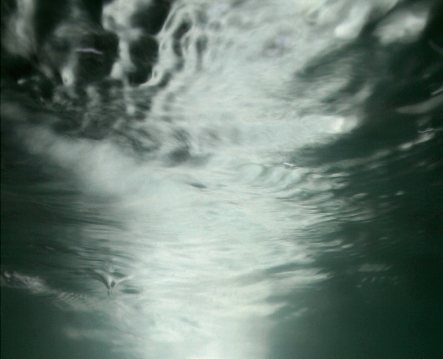 Alana Hampton Photography and Video Art