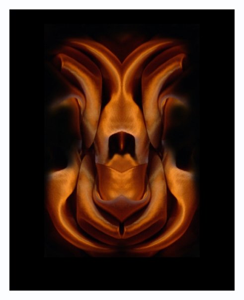 Alana Hampton Photography and Video Art