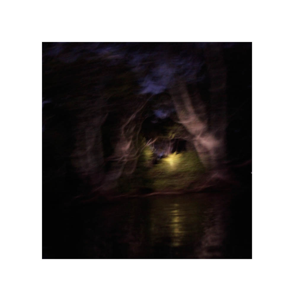 Alana Hampton Photography and Video Art