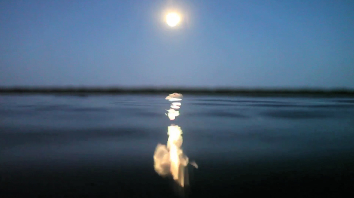 Alana Hampton Photography and Video Art