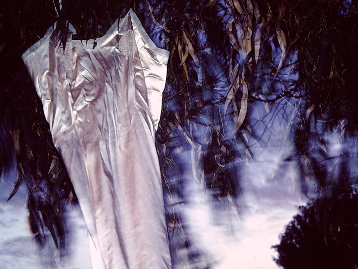 Alana Hampton Photography and Video Art