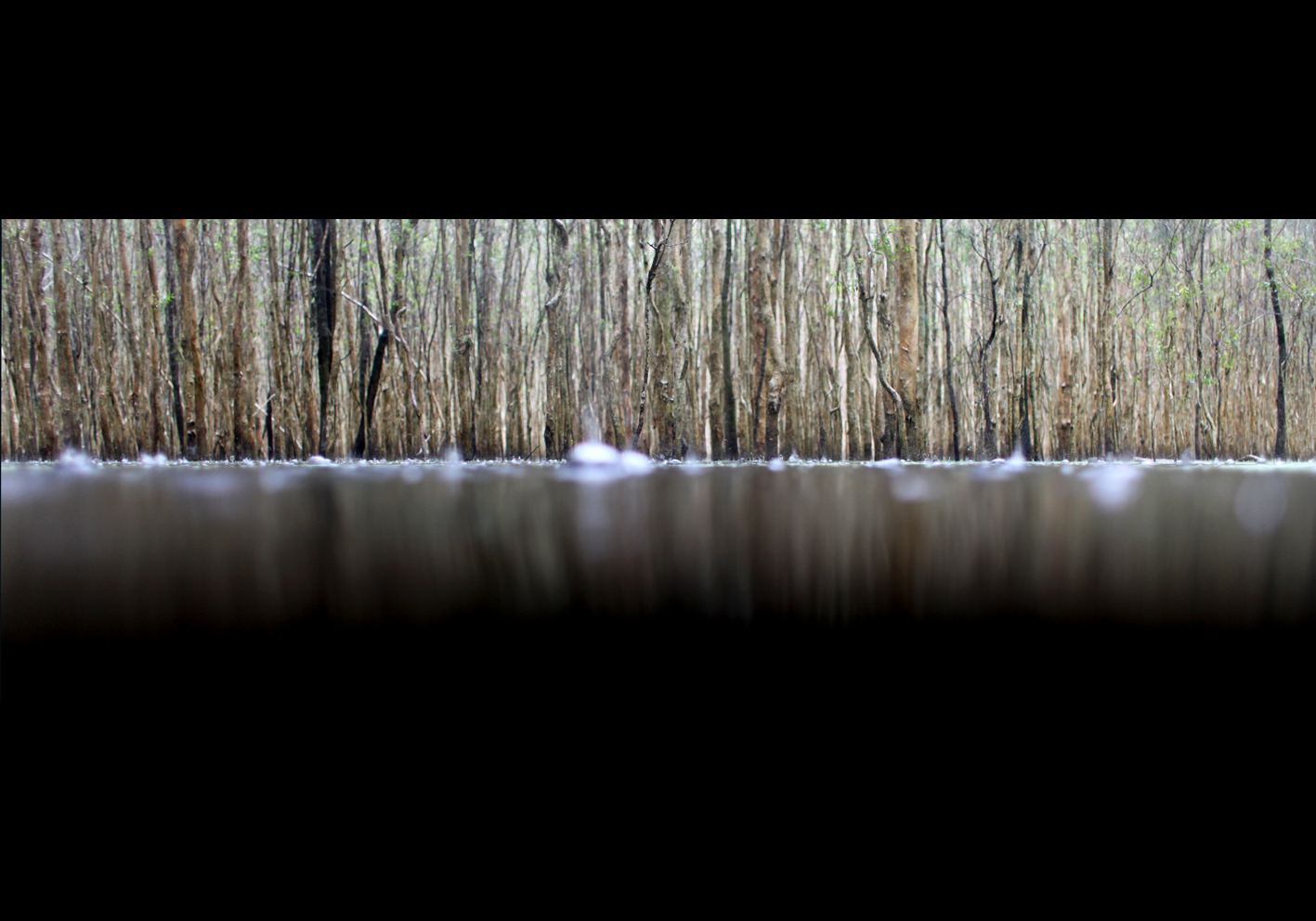 Alana Hampton Photography and Video Art