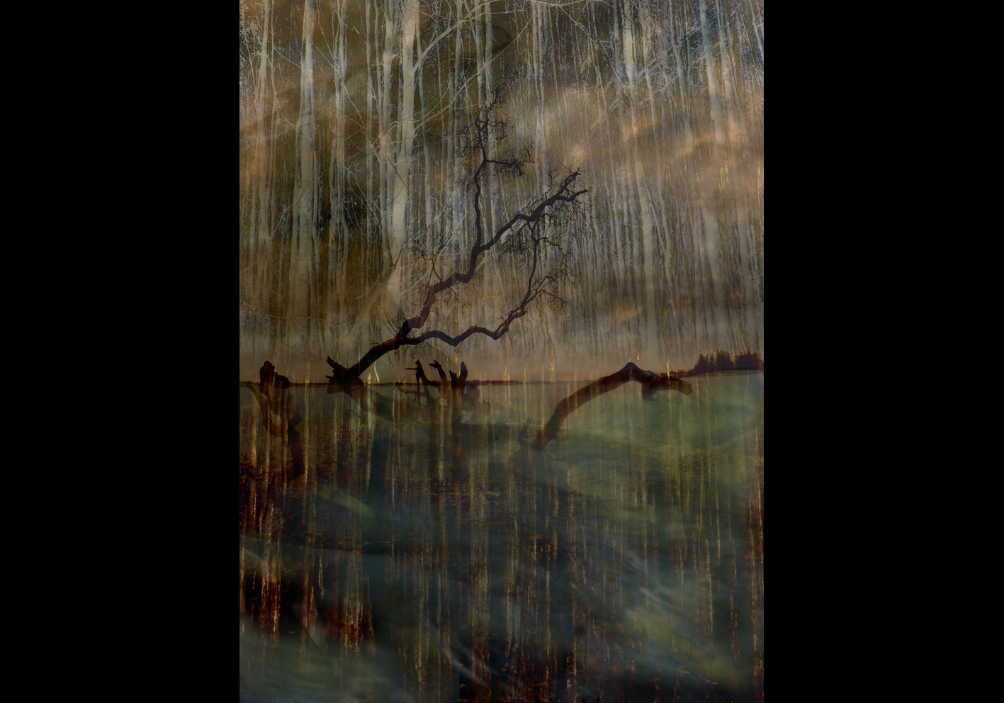 Alana Hampton Photography and Video Art