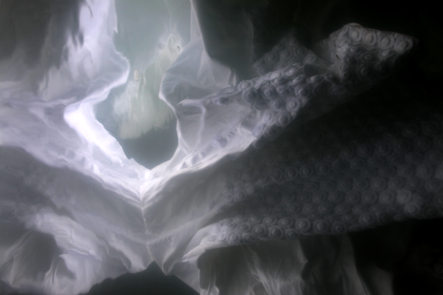 Alana Hampton Photography and Video Art