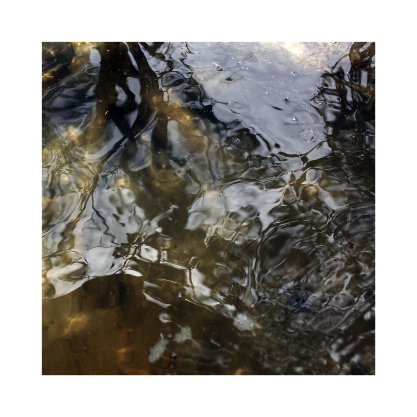 Alana Hampton Photography and Video Art