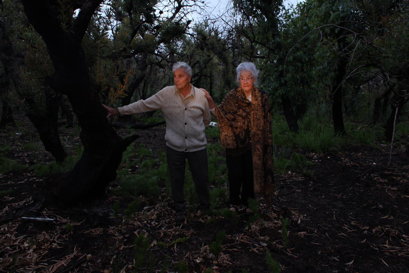 Alana Hampton Photography and Video Art