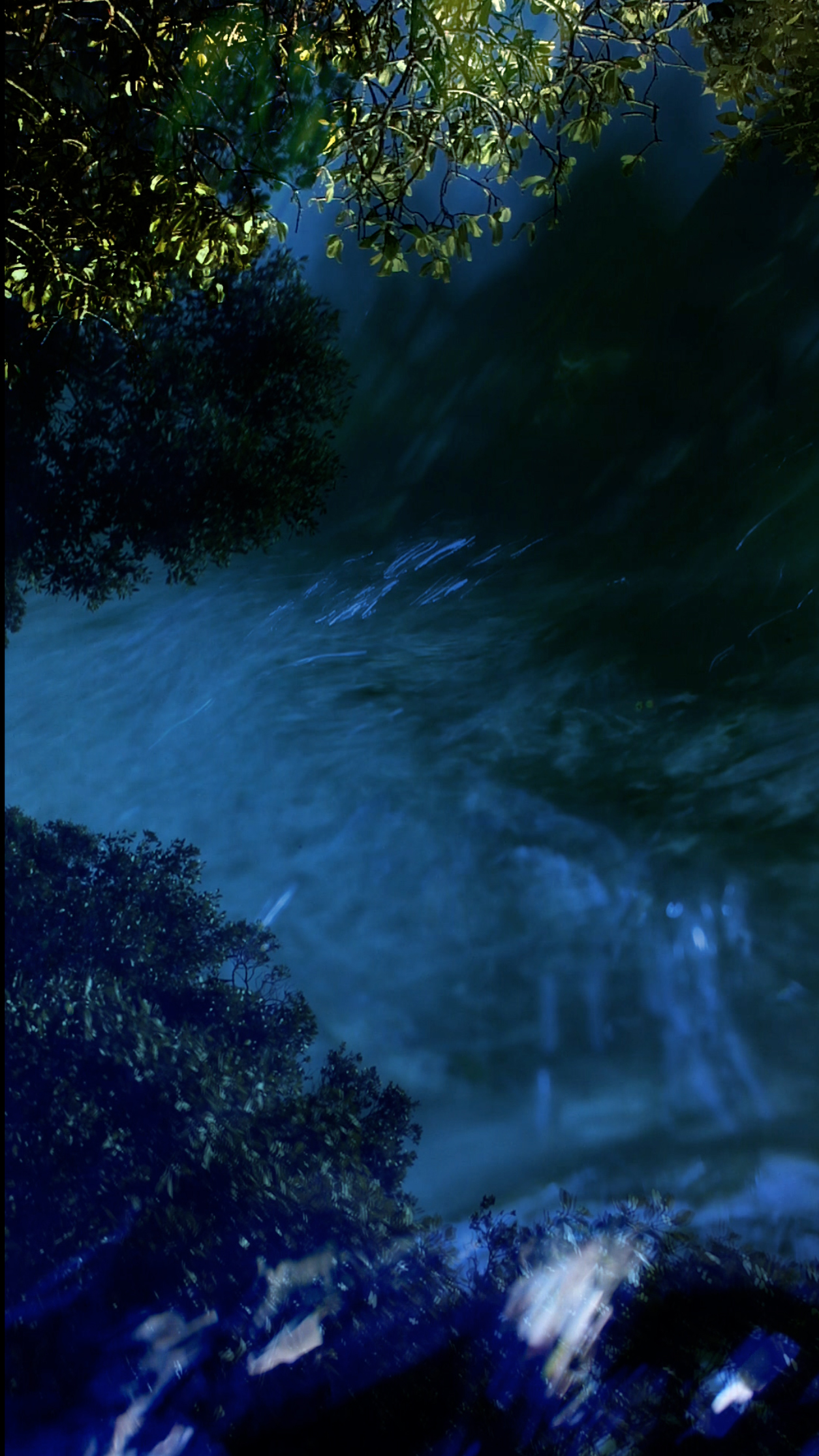 Alana Hampton Photography and Video Art