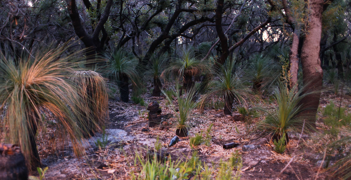 Alana Hampton Photography and Video Art