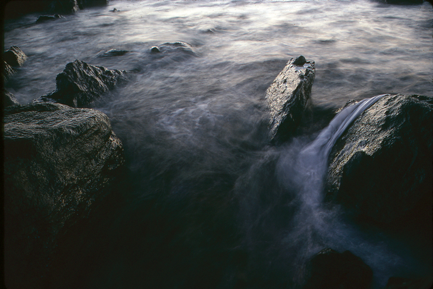 Alana Hampton Photography and Video Art