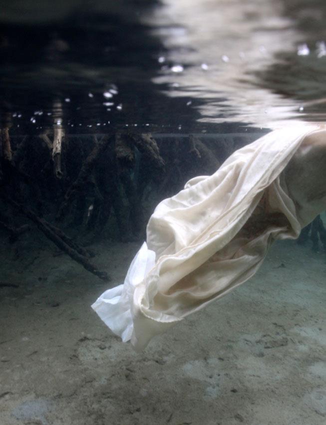 Alana Hampton Photography and Video Art