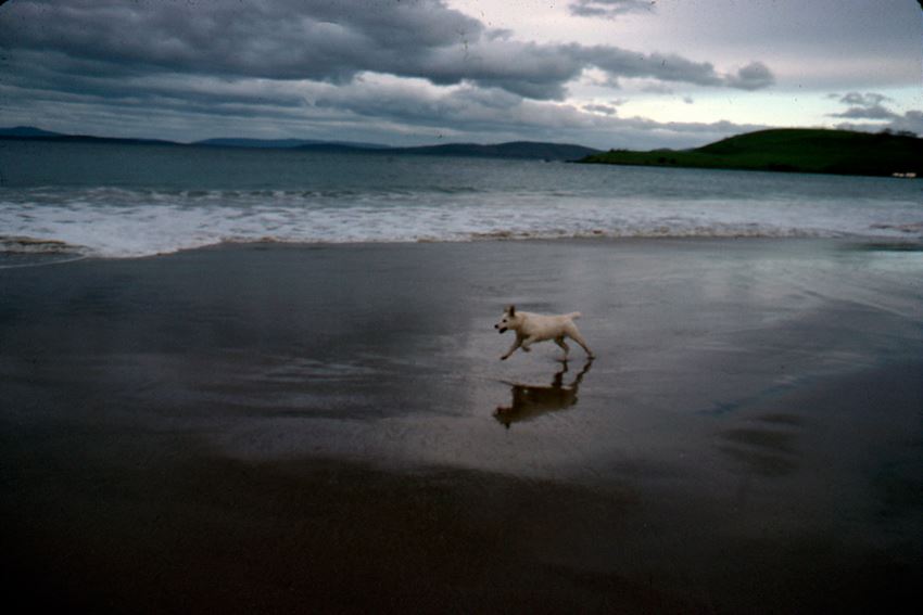 Alana Hampton Photography and Video Art