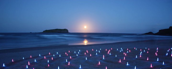 Alana Hampton Photography and Video Art