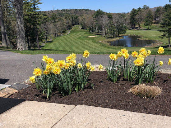 Week of May 10th