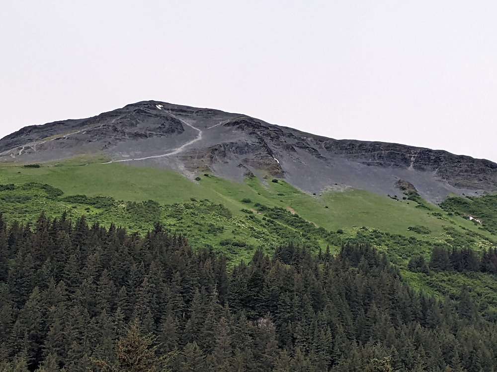 The Mount Marathon Race