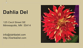 Home | Del's Dahlias