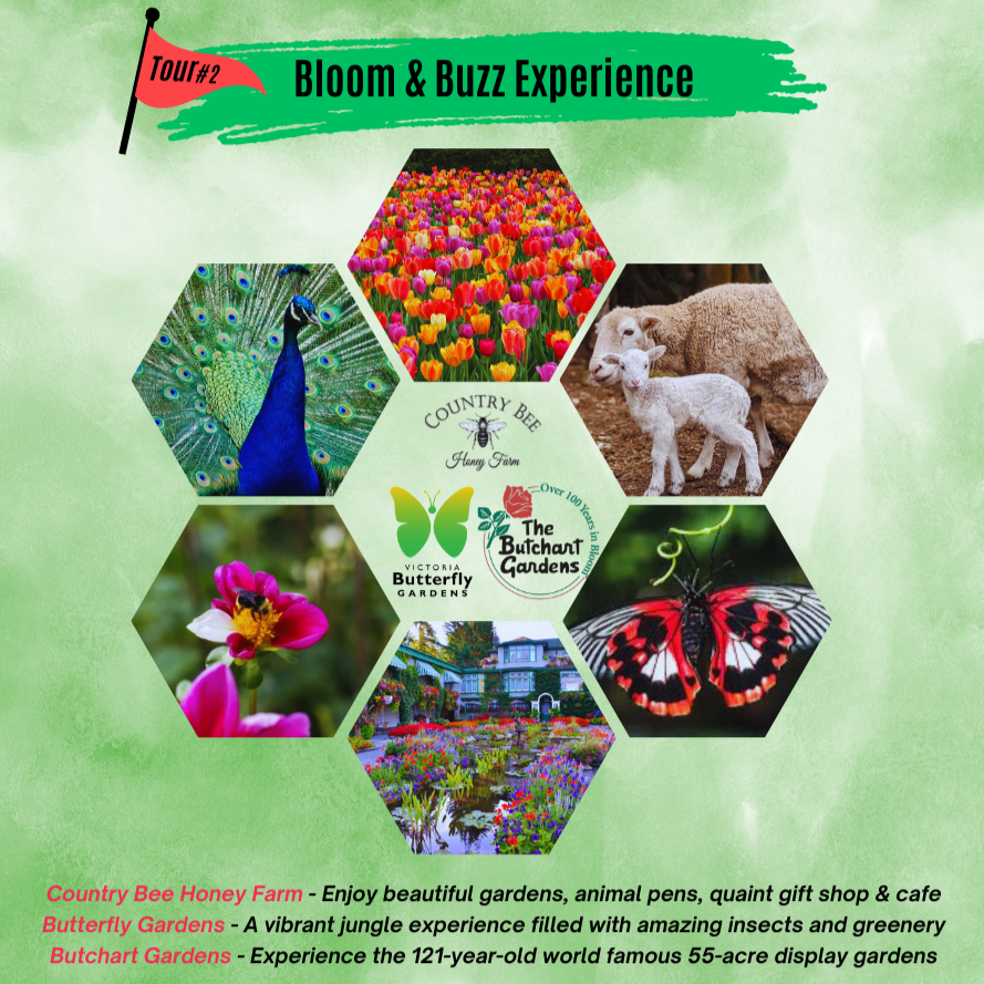 Bloom & Buzz Experience | Freedom Adventure Bus