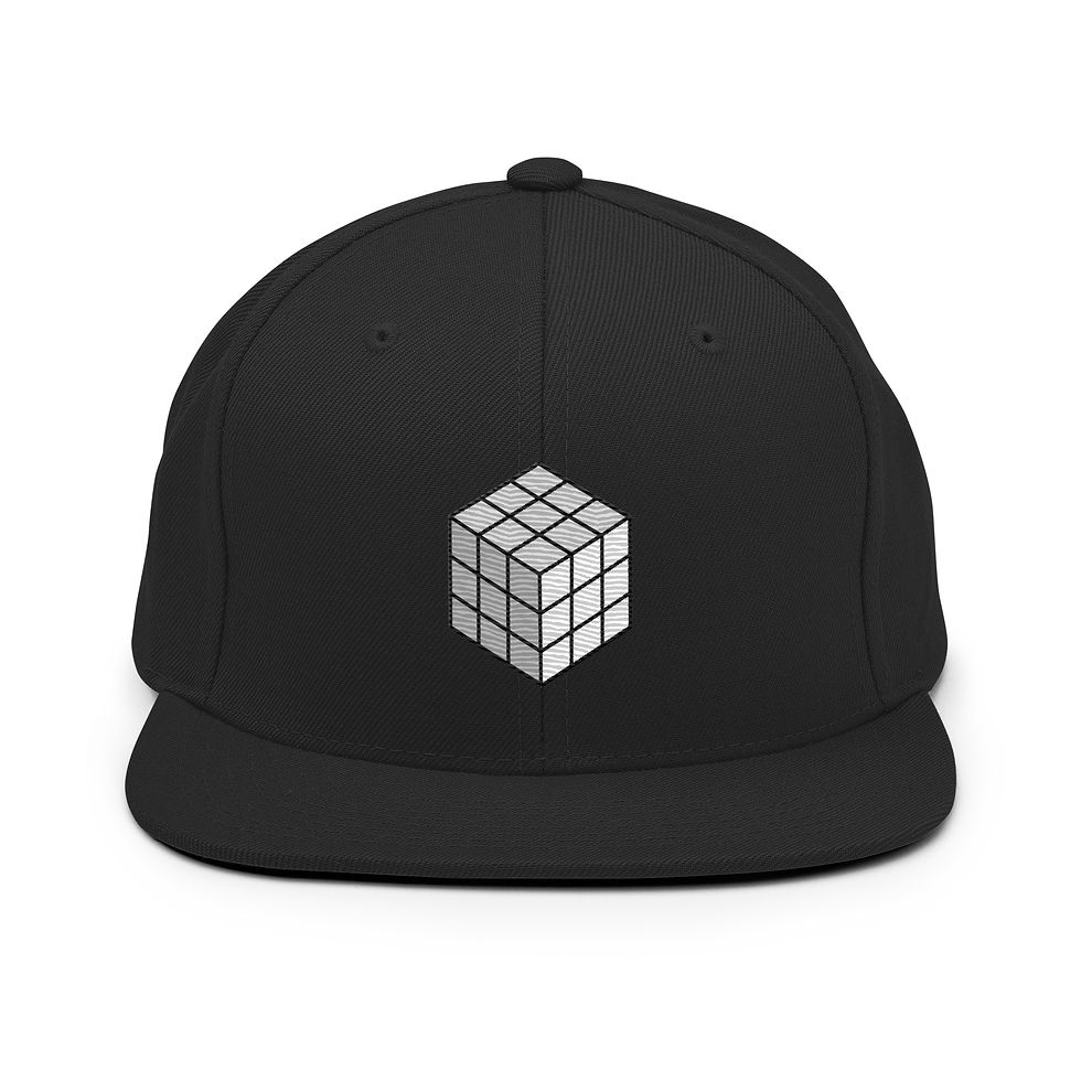 Snapback Logo Hat | Discoboxx