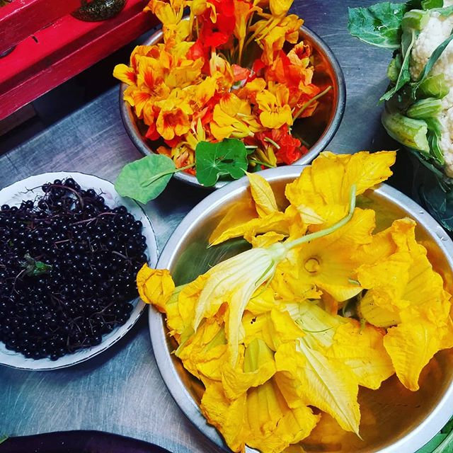TempleFare: Organic Farm-to-Table Dinner with Korean Temple Cooking ...